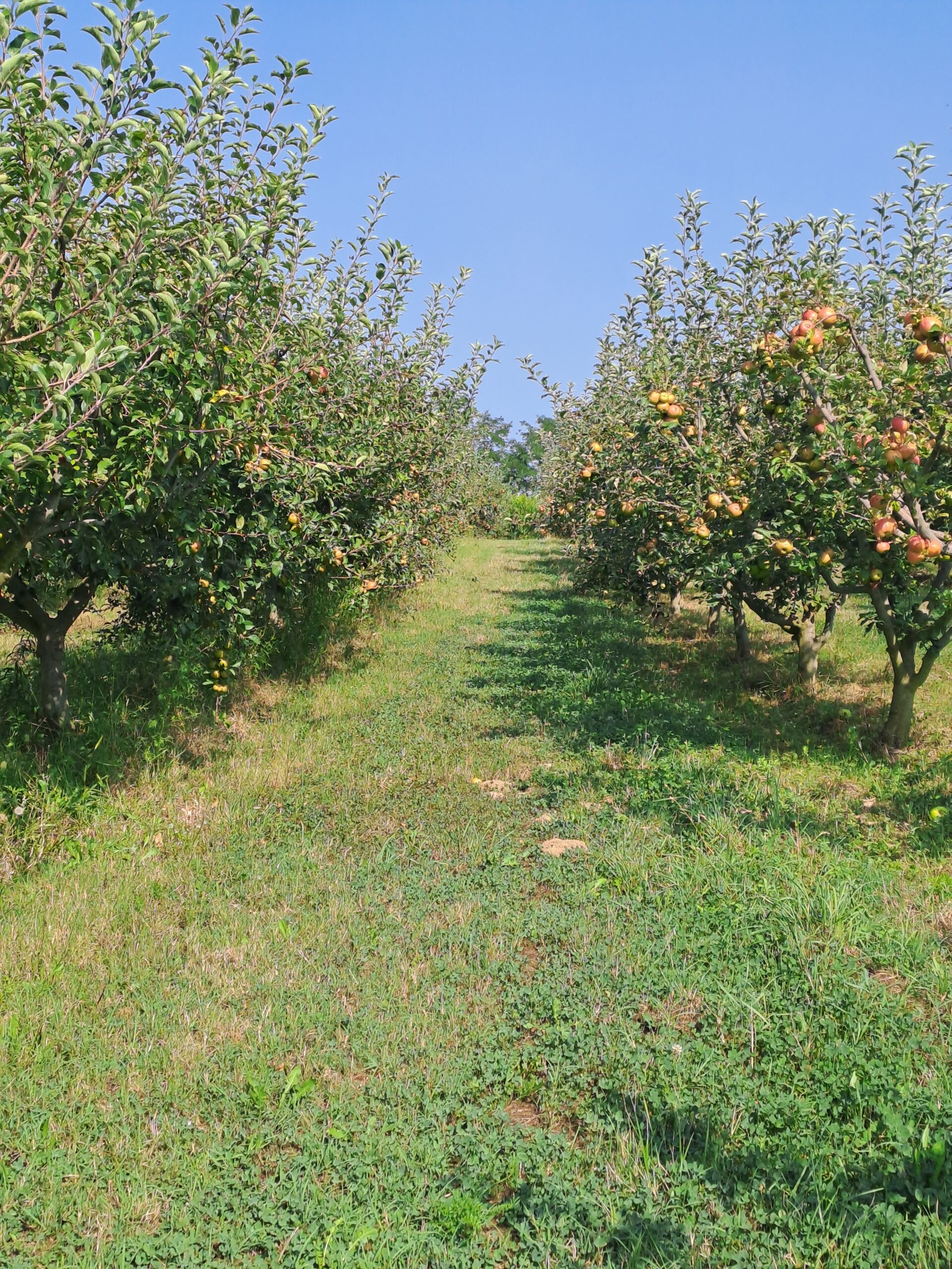 AGRIBIO Rhône & Loire - Association des producteurs biologiques