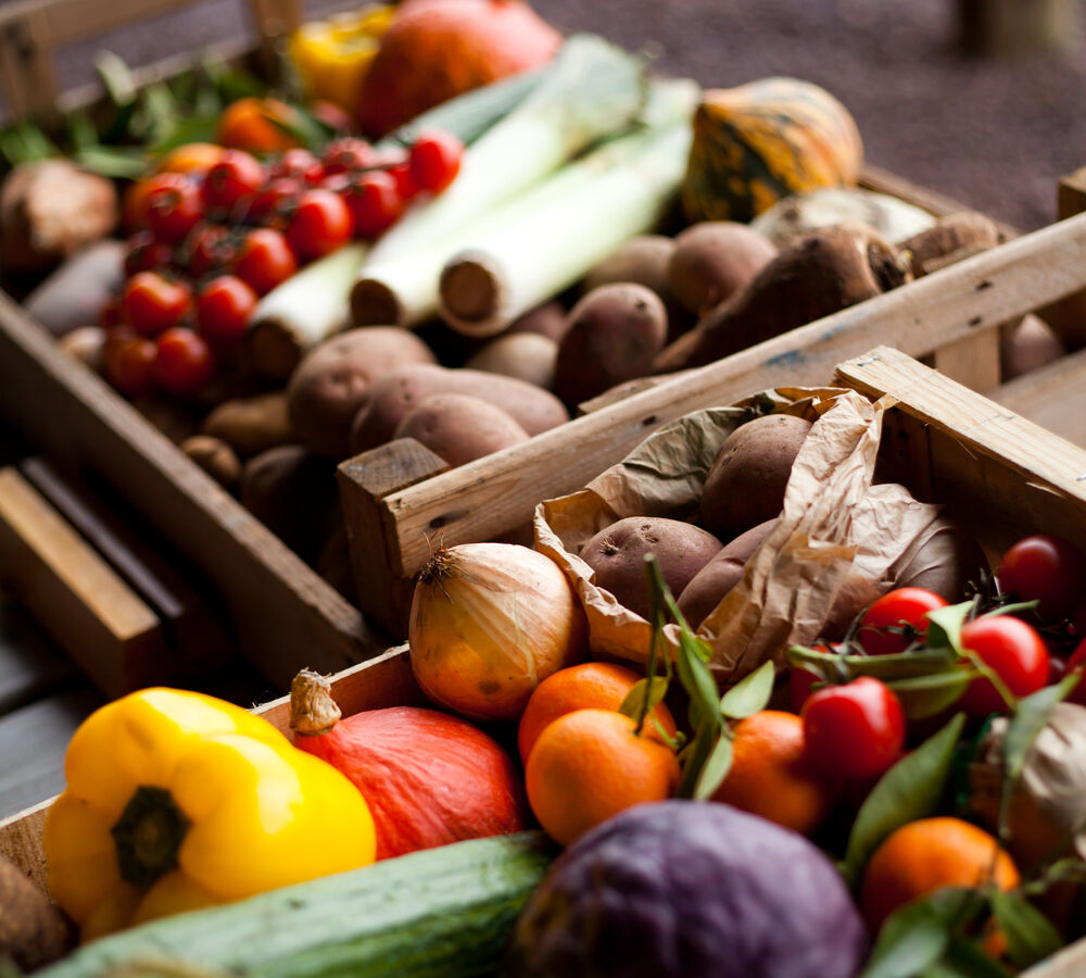 Manger local en roannais – Agribio Rhône & Loire