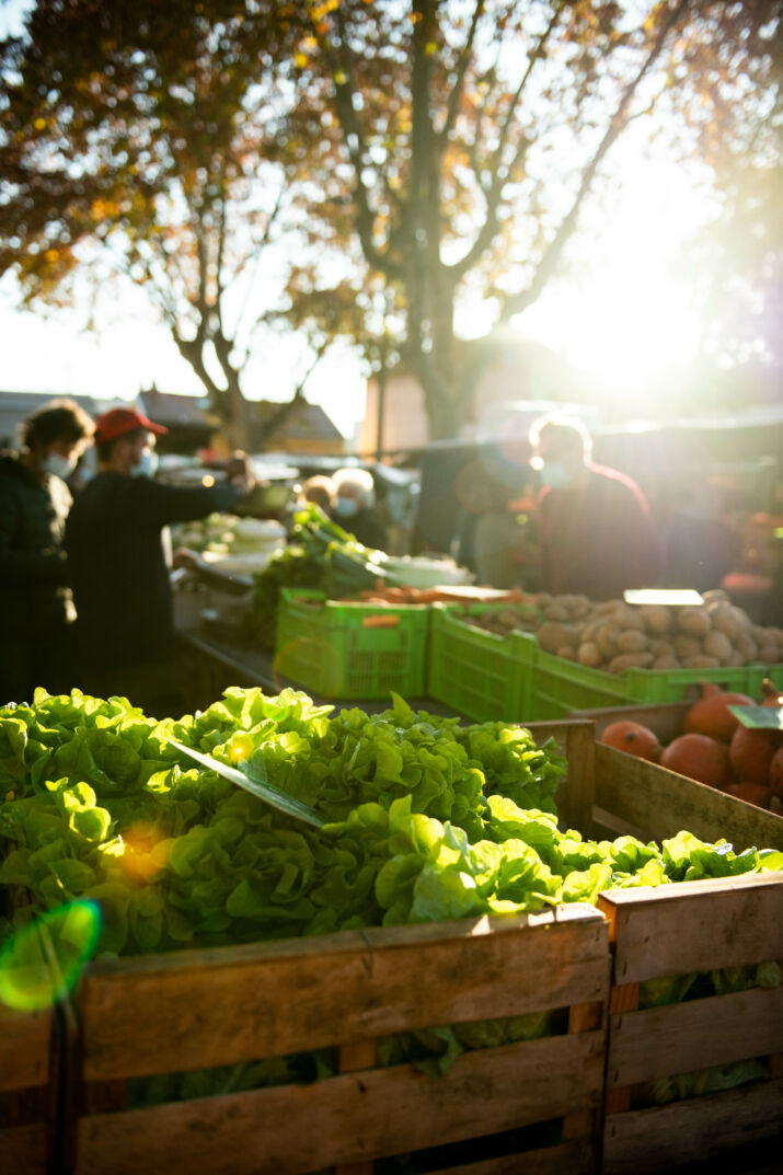 Agriculteurs & agricultrices | Agribio Rhône & Loire