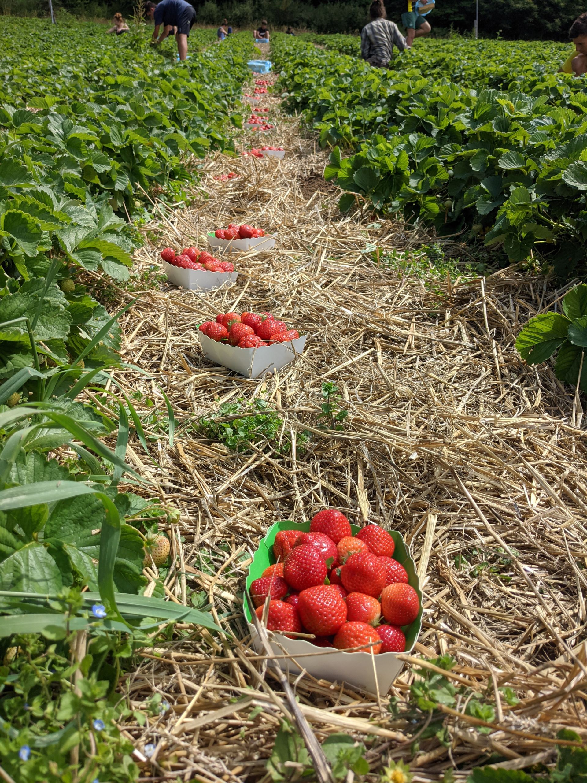 AGRIBIO Rhône & Loire - Association des producteurs biologiques